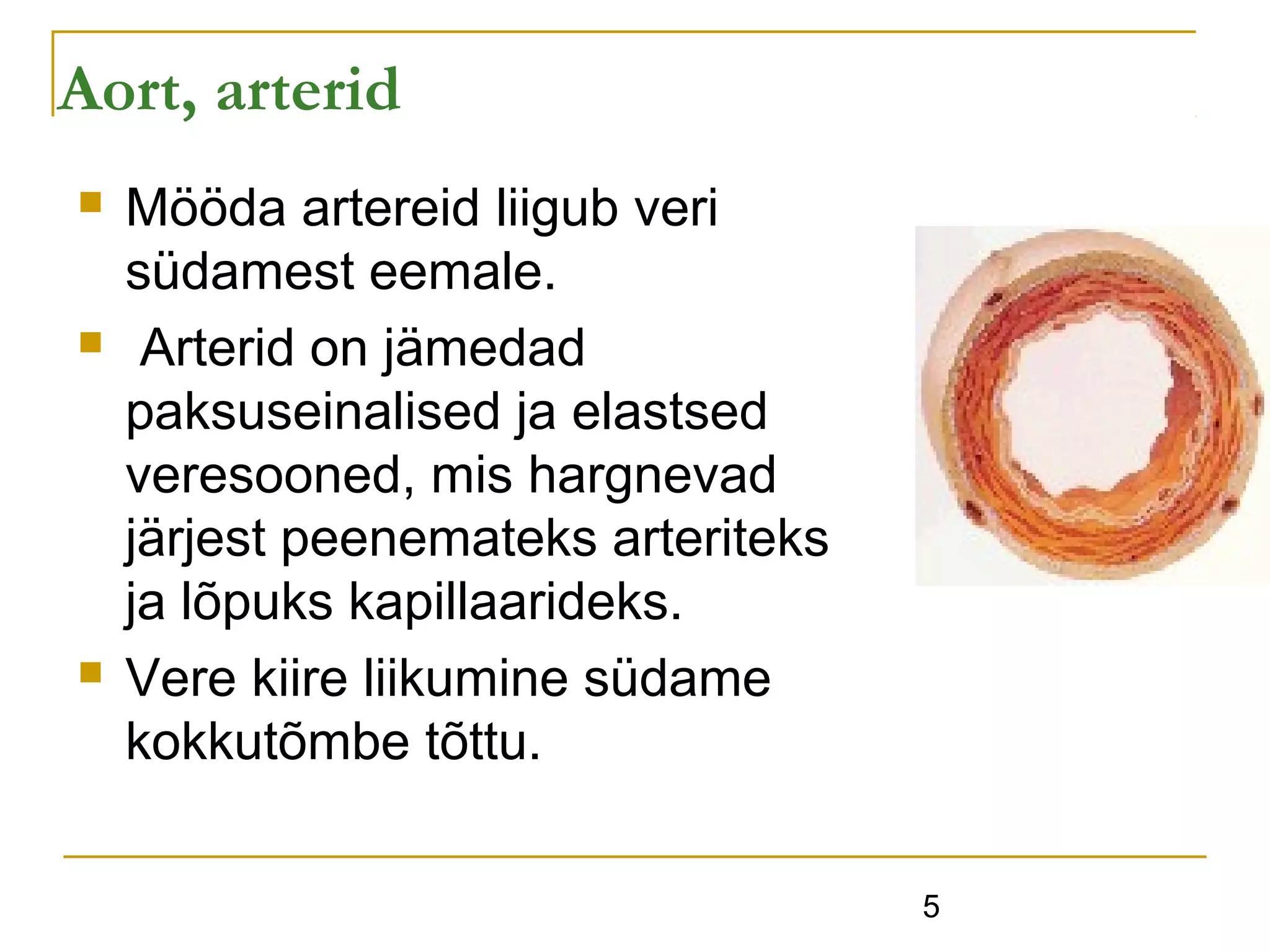 Vereringeelundkond | PPT