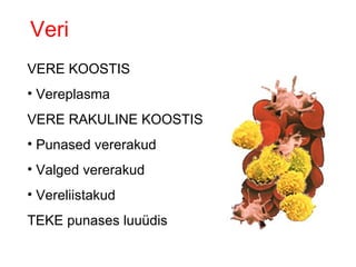 Vereringe | PPT