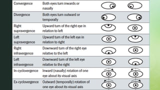 Vergence and its anomalies | PDF