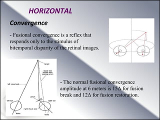 Vergences of the eye | PPT