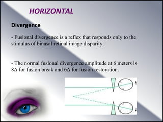 Vergences of the eye | PPT