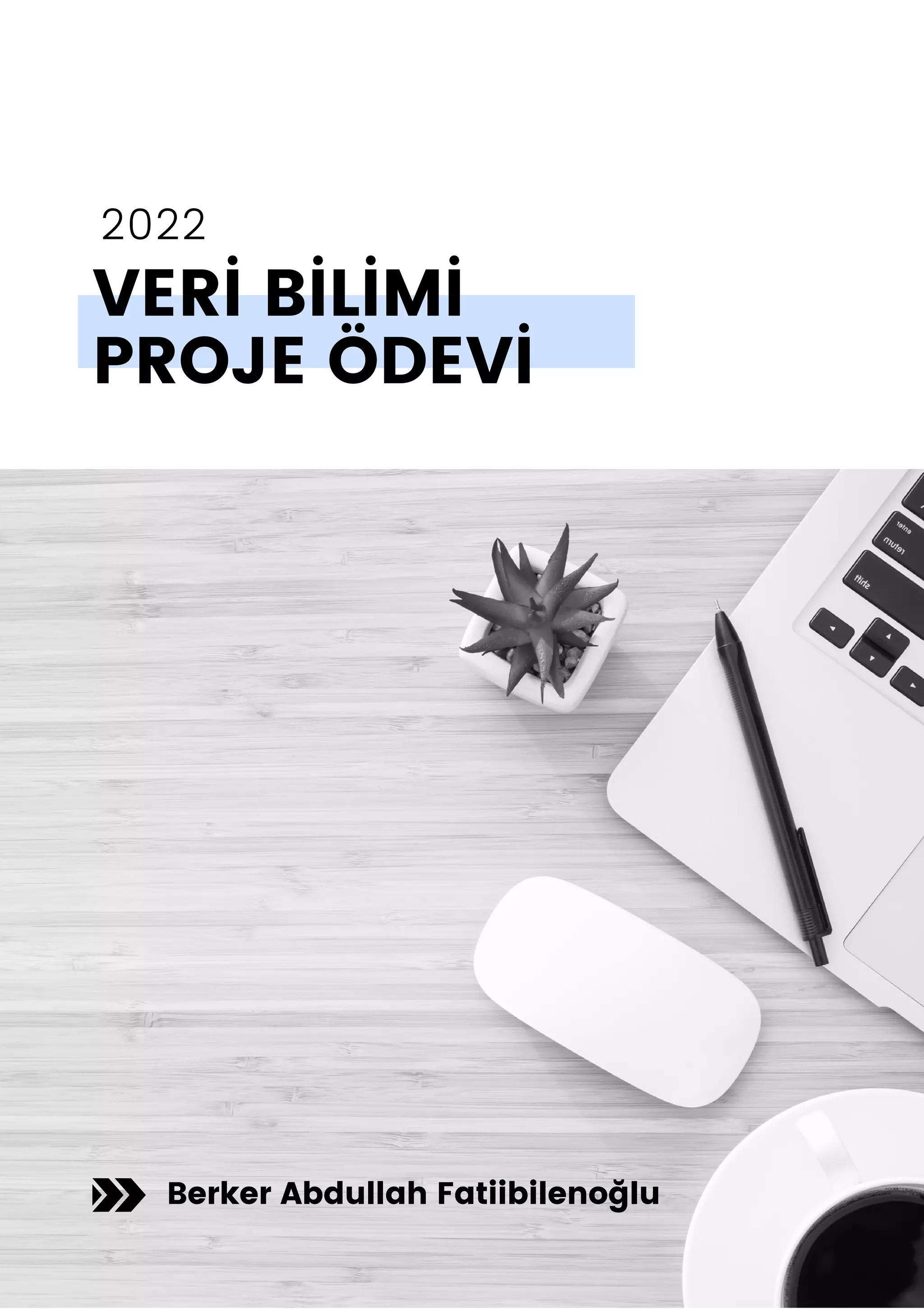 veri-bilim.pdf