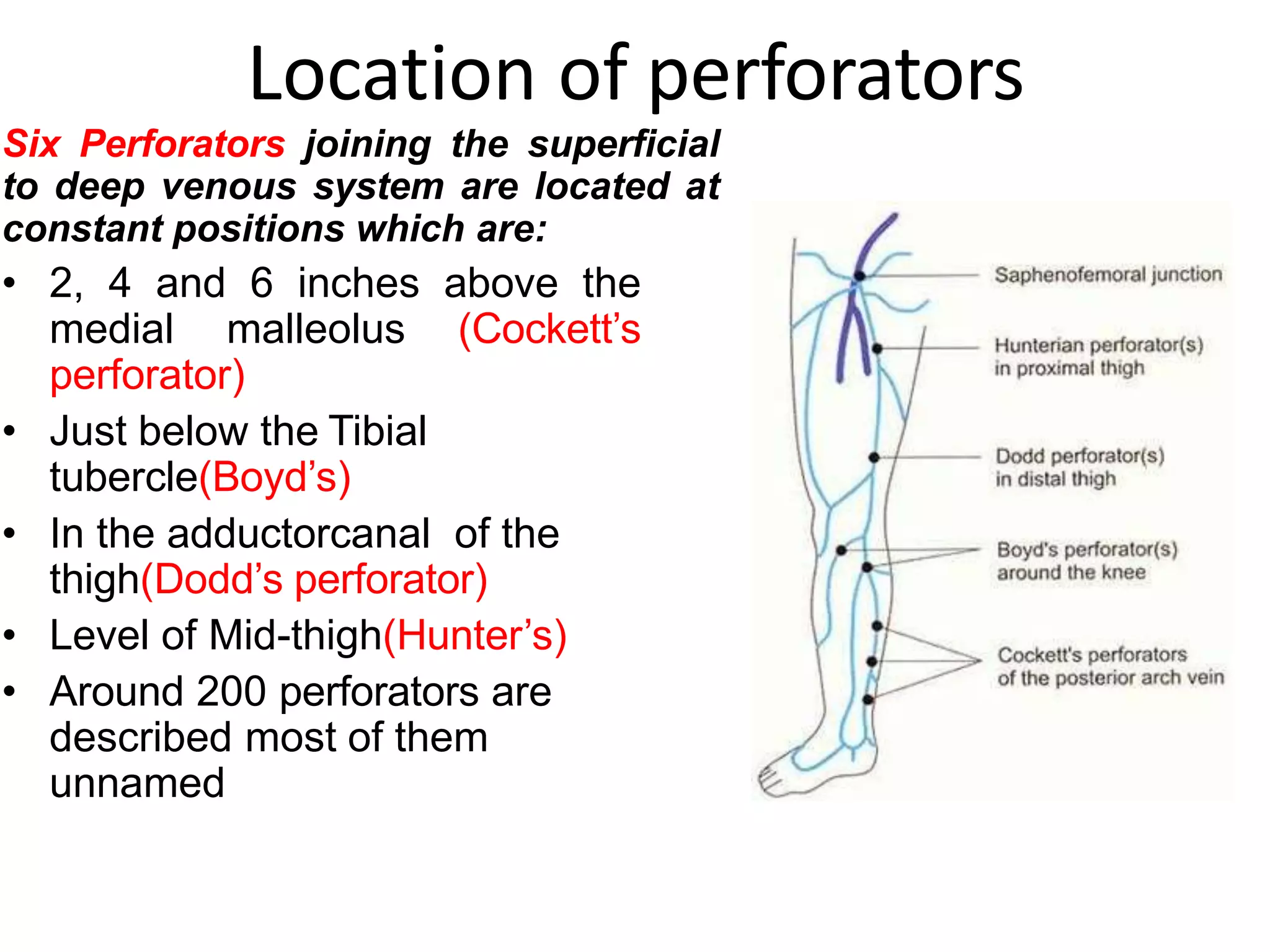 Duplex ultrasound of Vericose vein | PPTX