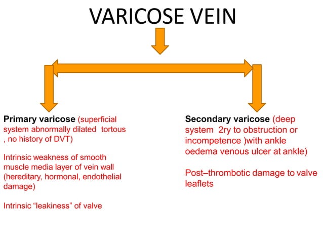 Duplex ultrasound of Vericose vein | PPTX | Heart and Cardiovascular ...