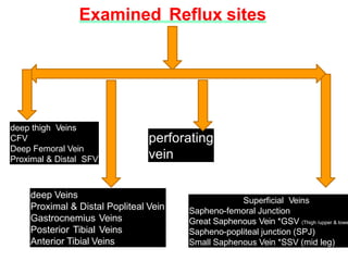 Duplex ultrasound of Vericose vein | PPTX | Heart and Cardiovascular ...