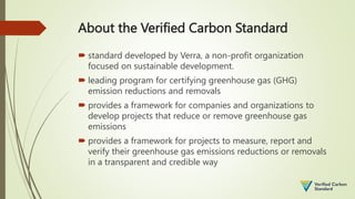 Verified Carbon Standard (VCS).pptx