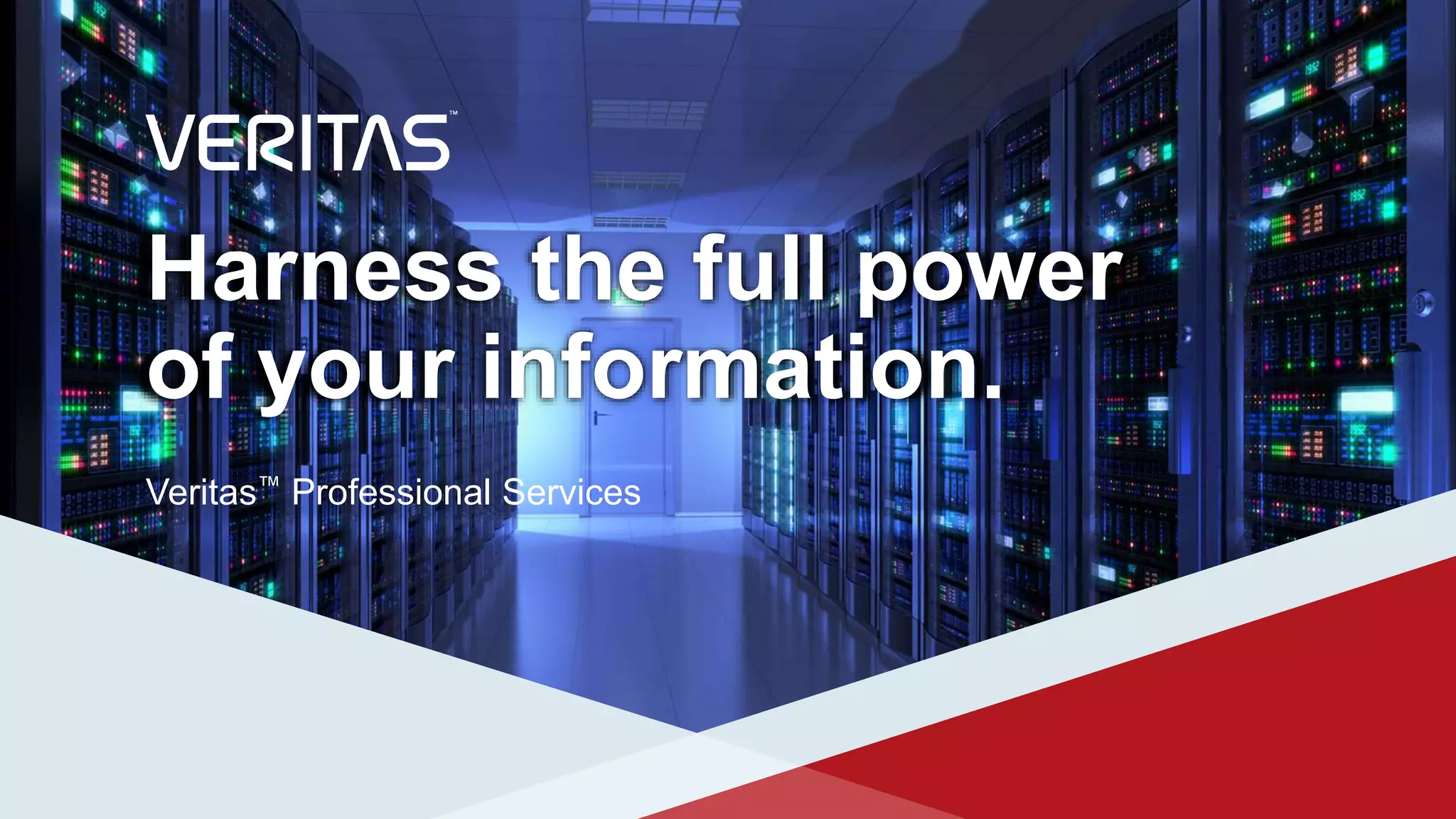 Veritas Professional Services Presentation | PPT