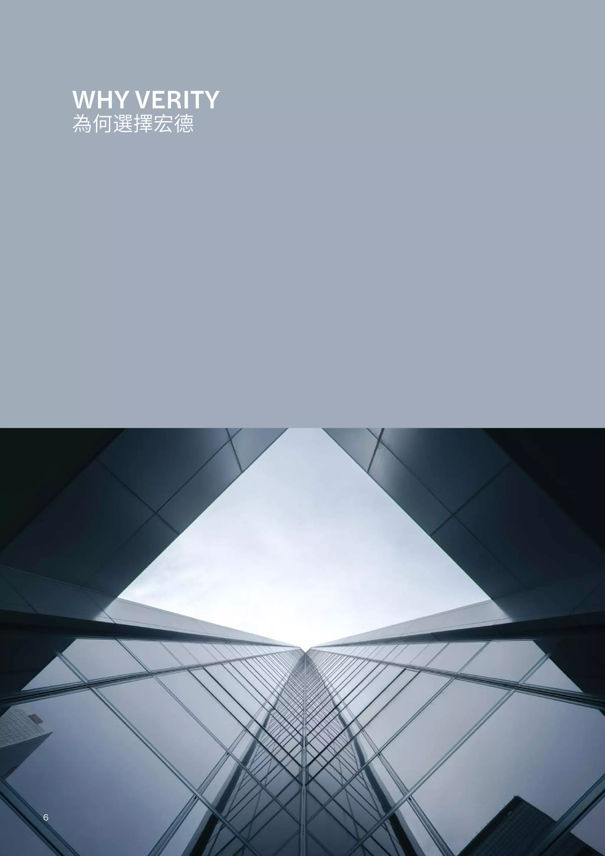 Verity Brochure-2021 version.pdf