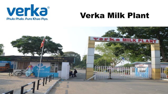 Verka milk plant ppt | PPTX