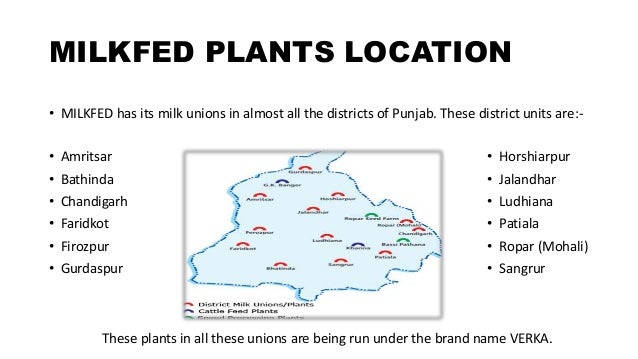 Verka milk plant ppt