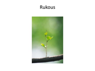 Rukous | PPTX