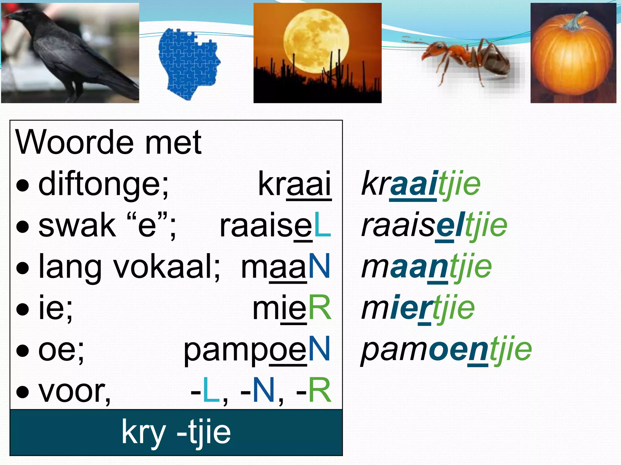 Verkleinwoorde | PPTX
