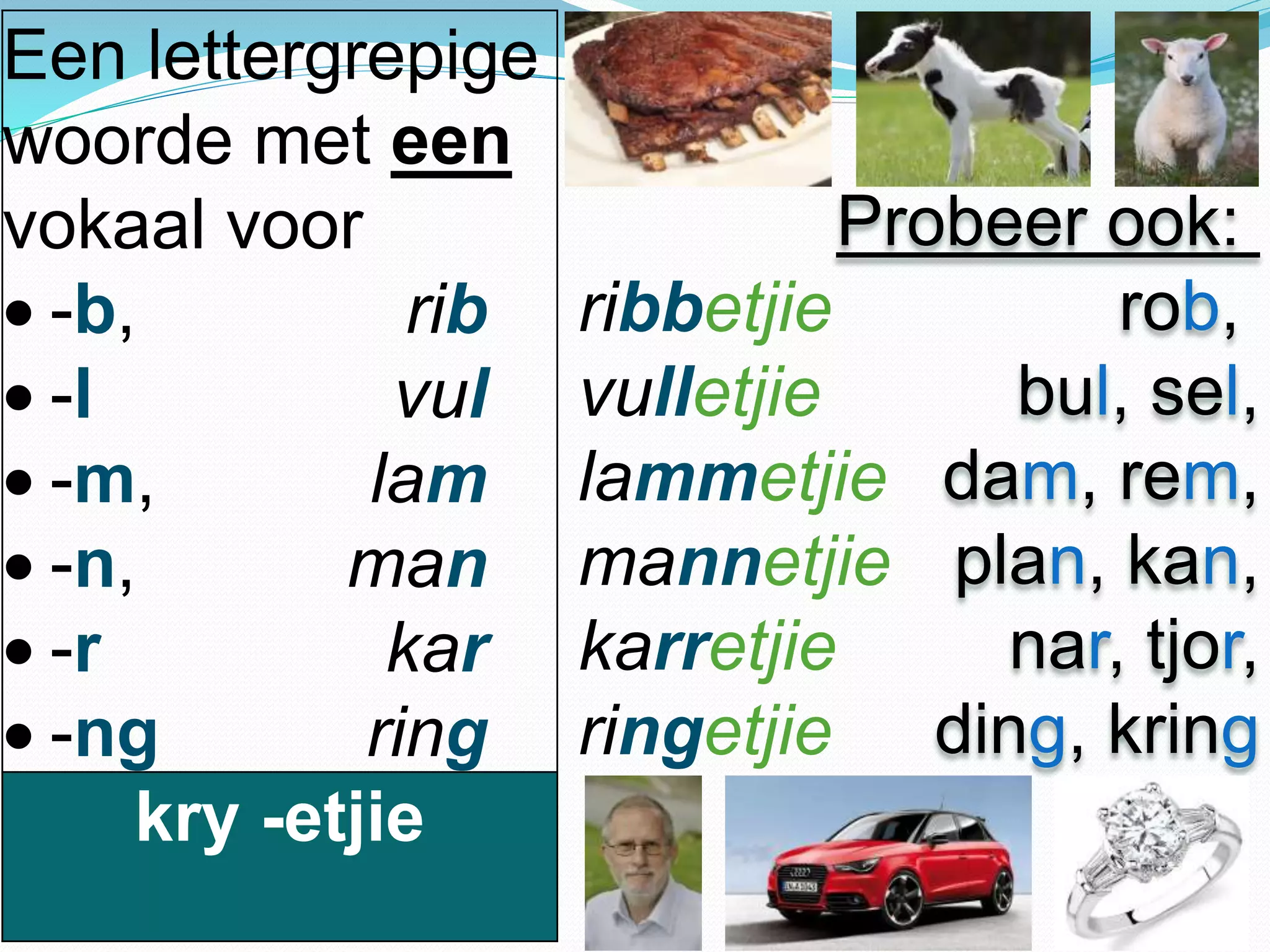 Verkleinwoorde | PPTX
