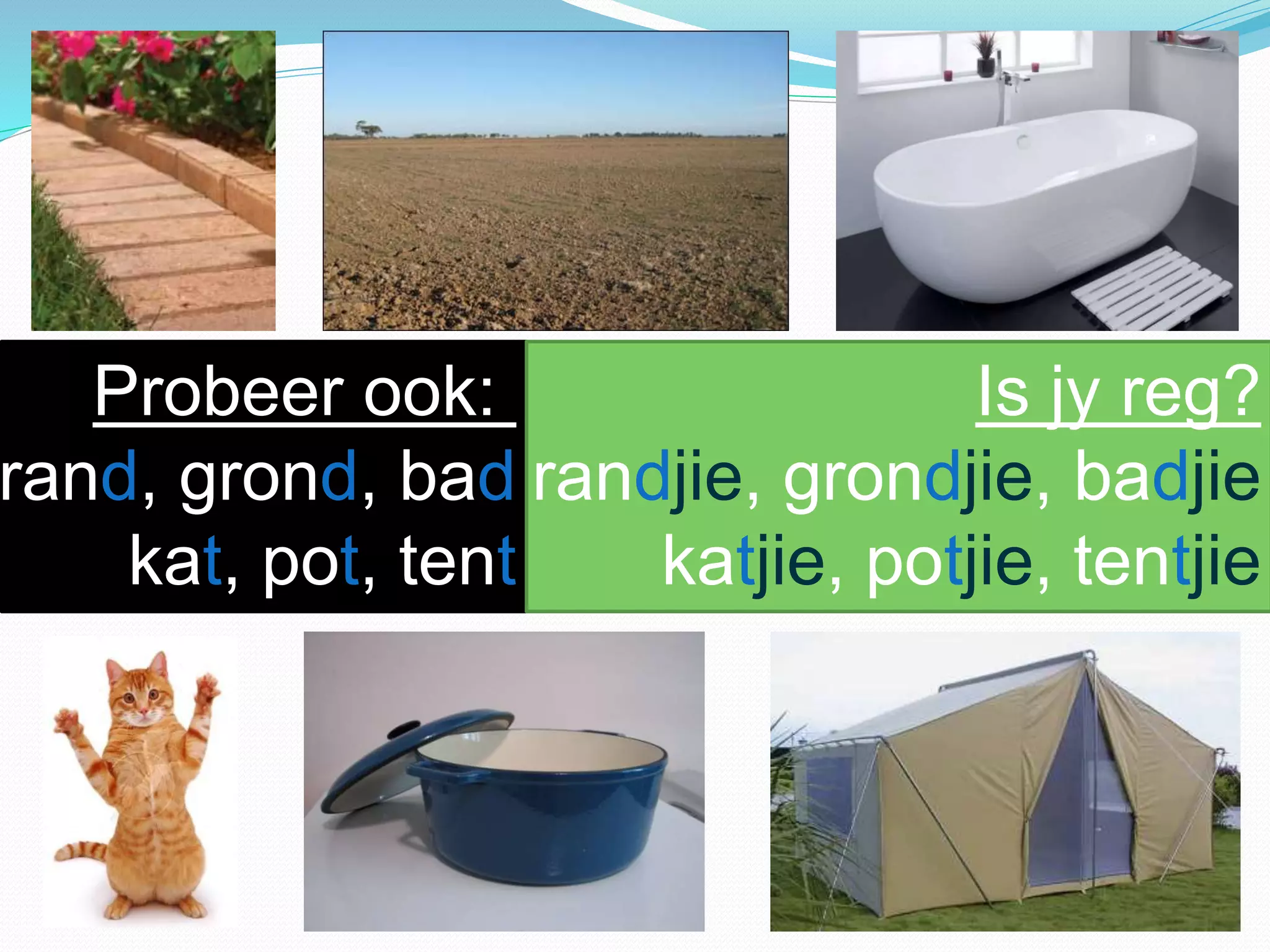 Verkleinwoorde | PPTX