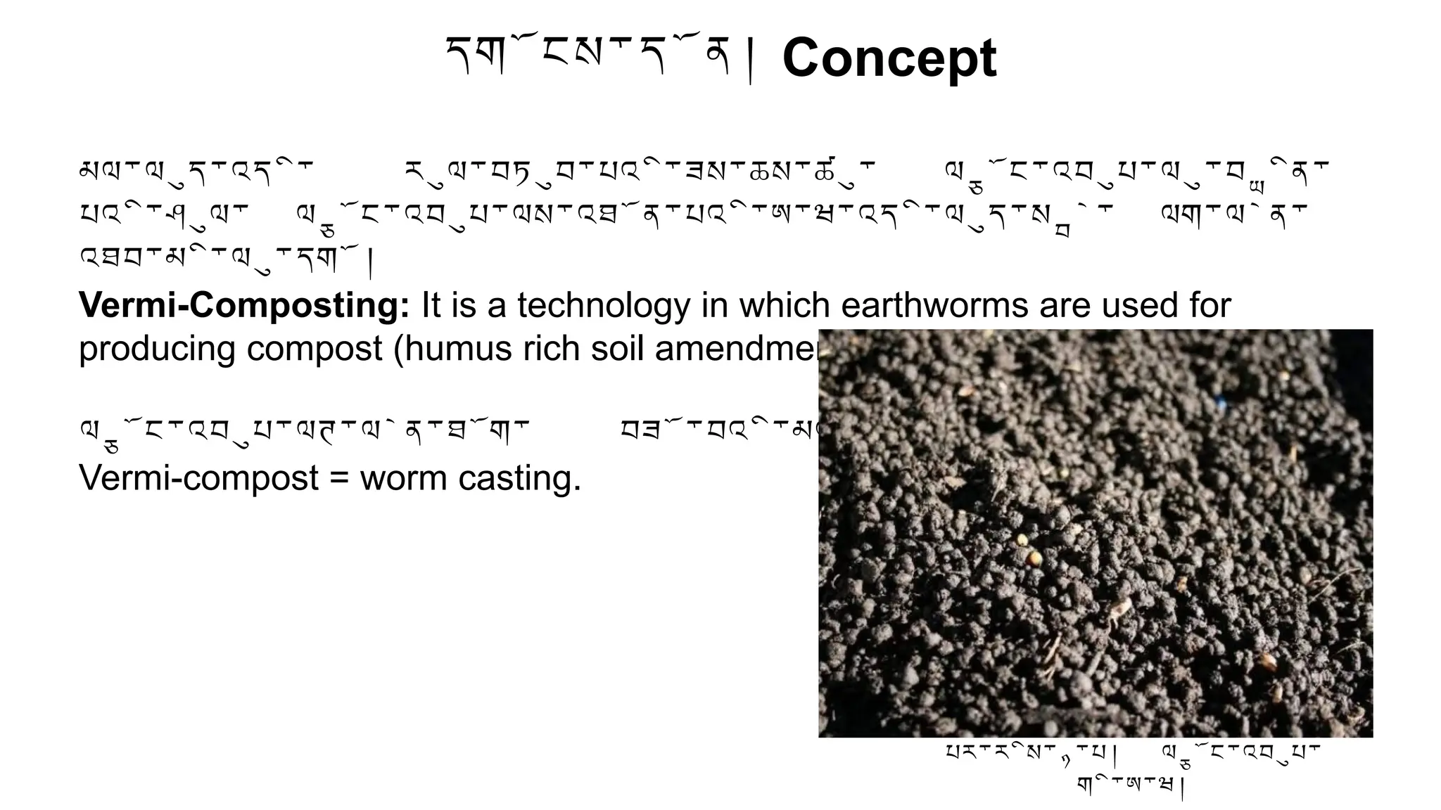 Vermi-Composting presentation for m.pptx