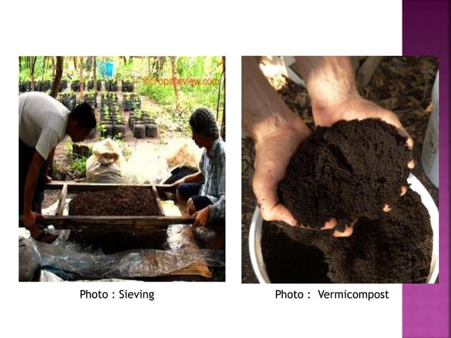 Vermicompost and vermicomposting | PPTX