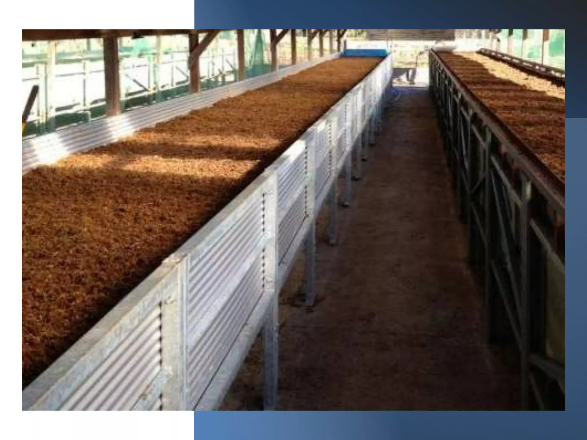 Soft Scape Works – Vermicomposting (Organic Farming) | PPTX