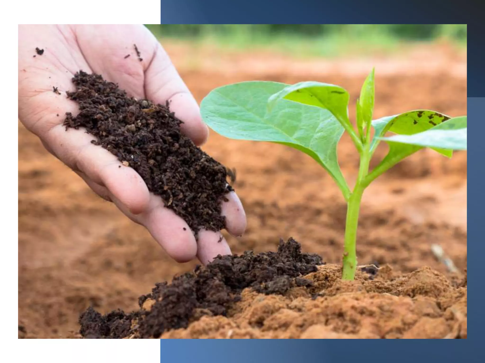 Soft Scape Works – Vermicomposting (Organic Farming) | PPTX