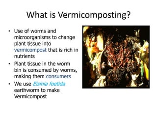 Vermicompost.pptx