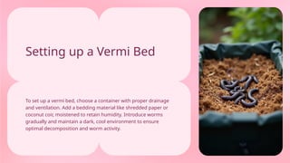 Vermi Compost msc zoologyanimaltaxonomy.pptx