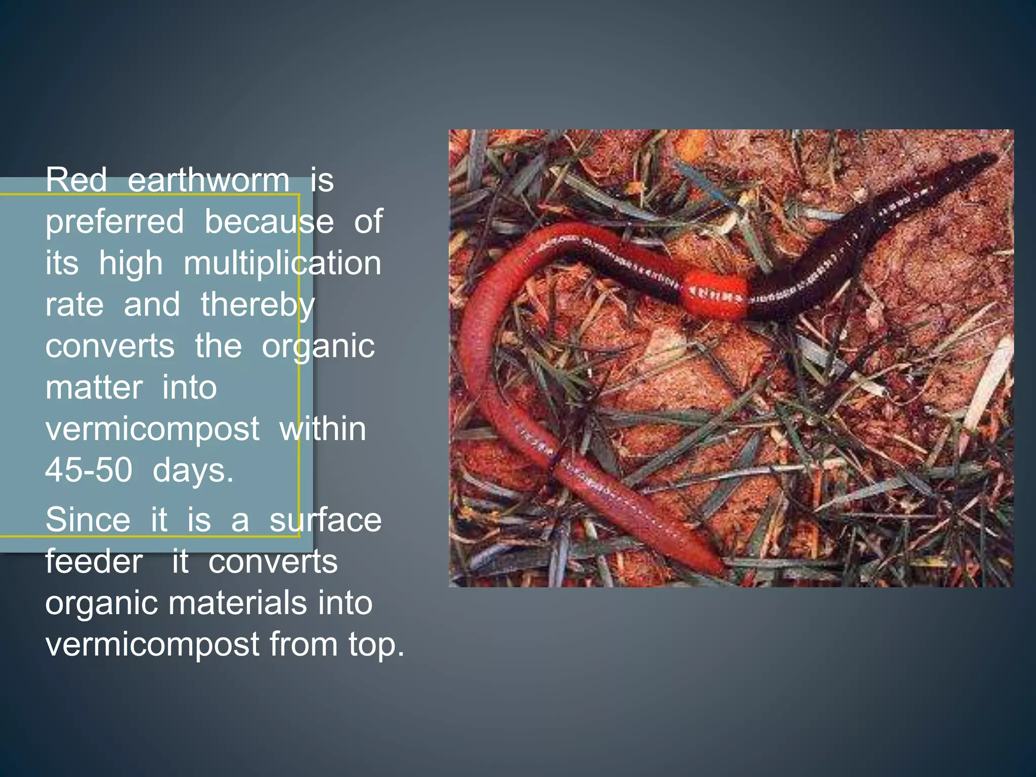 Vermicomposting | PPTX