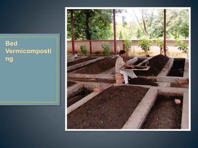 Vermicomposting | PPTX | Agriculture | Industries
