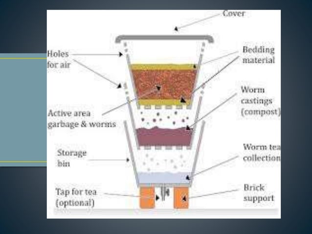 Vermicomposting | PPTX | Agriculture | Industries