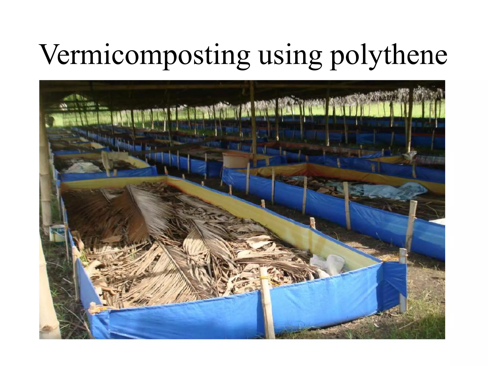 Vermicomposting | PDF