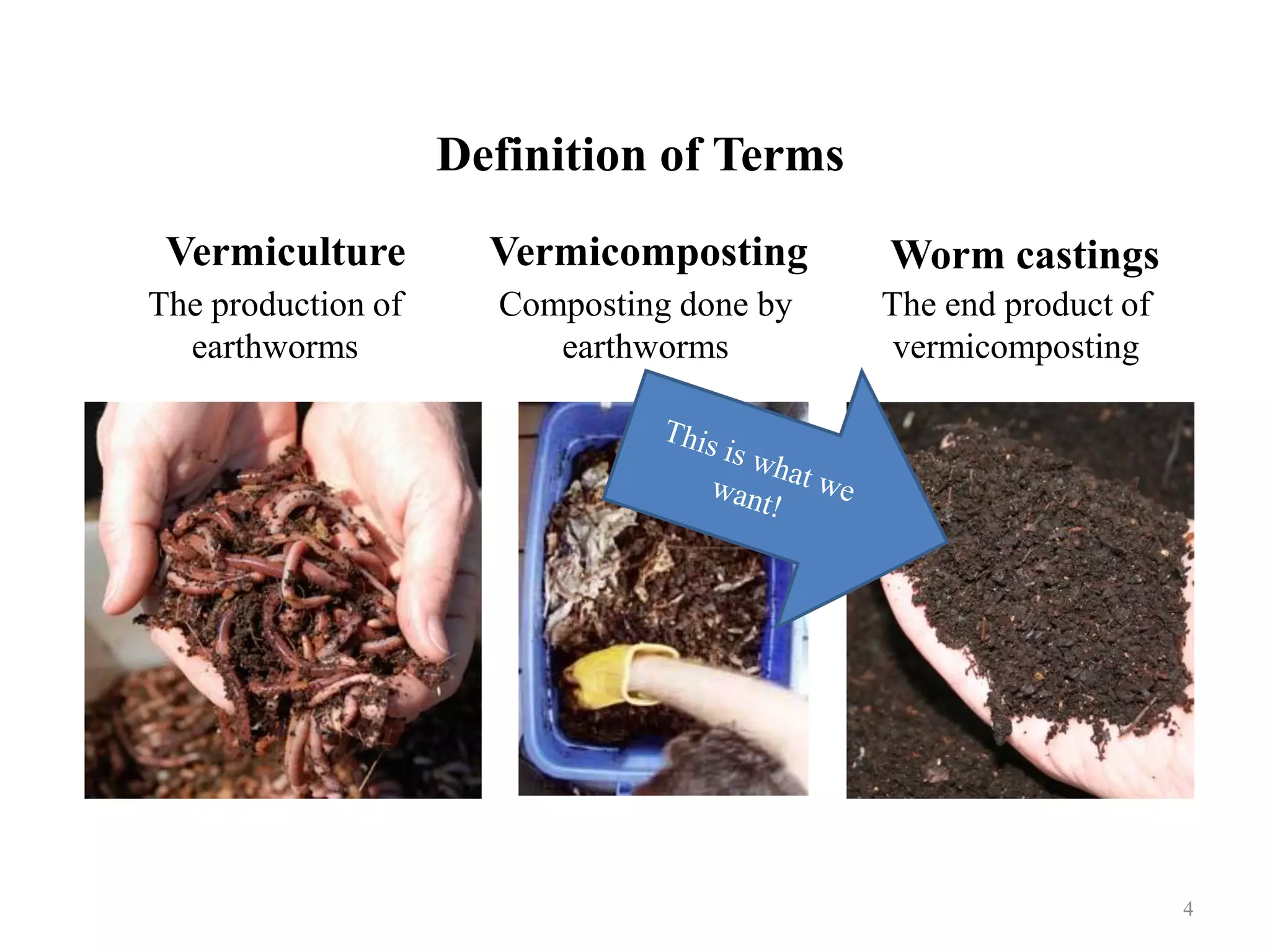 Vermicomposting | PDF