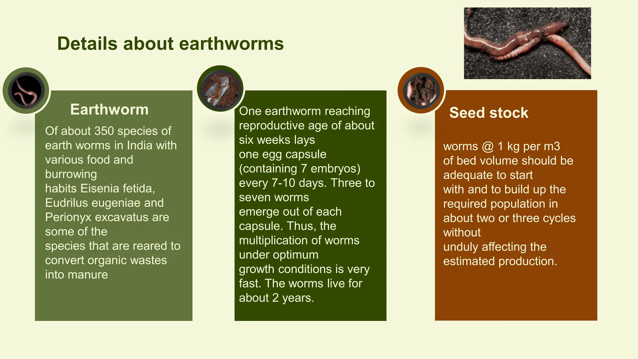 MODEL BANKABLE PROJECT ON VERMICOMPOSTING SUNNY TOMAR.pptx