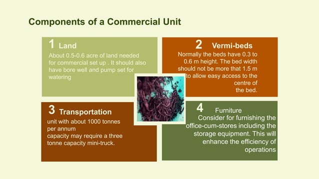 MODEL BANKABLE PROJECT ON VERMICOMPOSTING SUNNY TOMAR.pptx