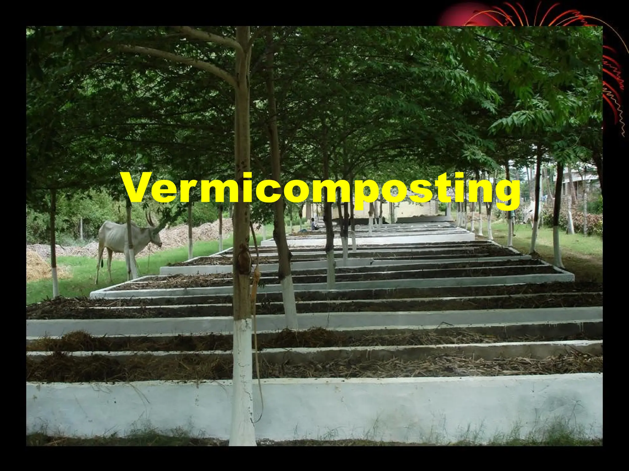 Vermicomposting preparation and its importance | PPTX