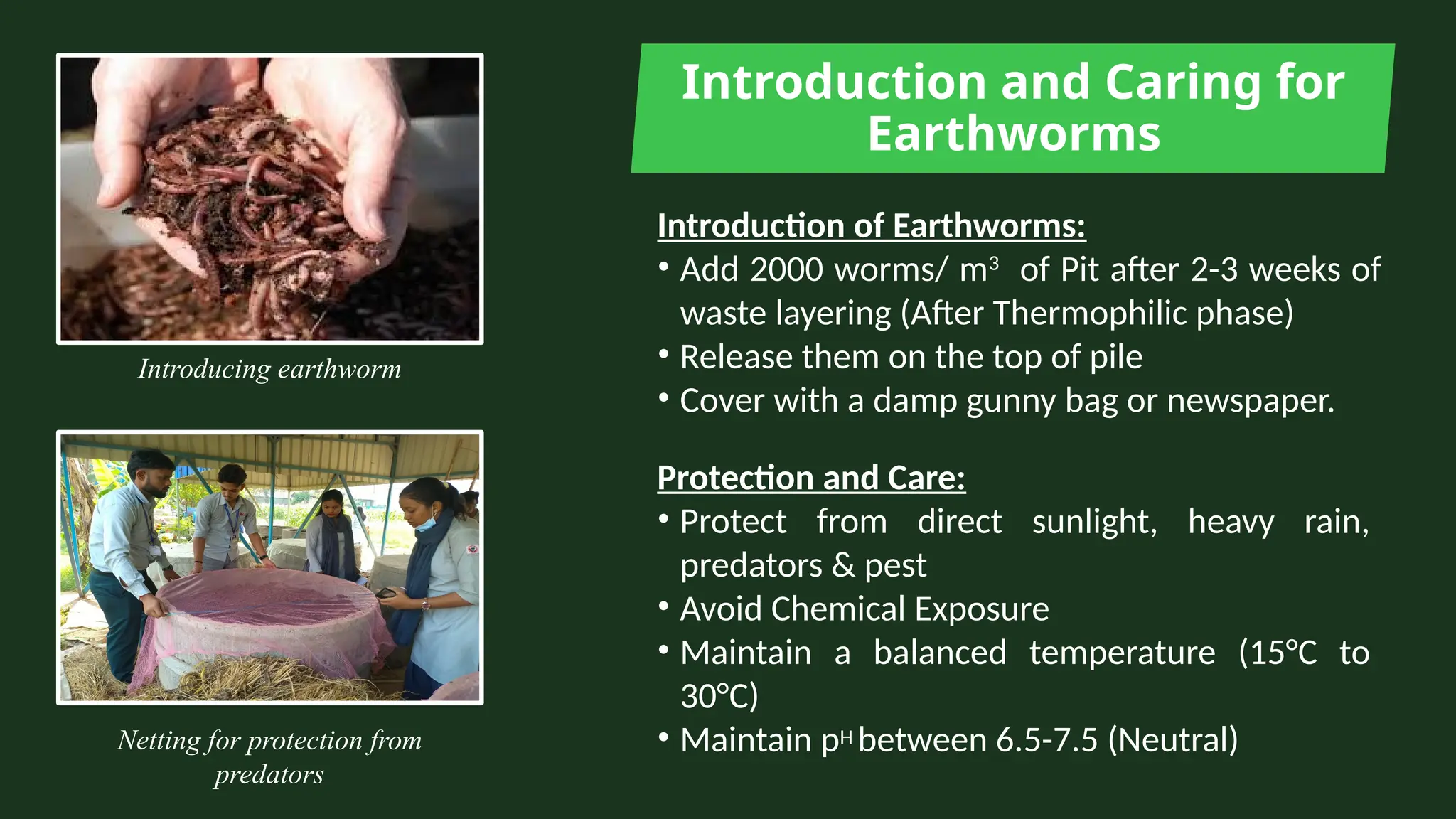 presentation on Vermicomposting (Turn Waste into Wealth) | PPTX