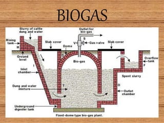 Vermicomposting and Biogas | PPTX