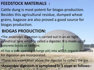 Vermicomposting and Biogas | PPTX