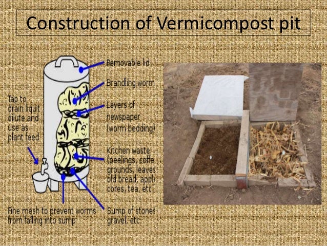 Vermicomposting and Biogas