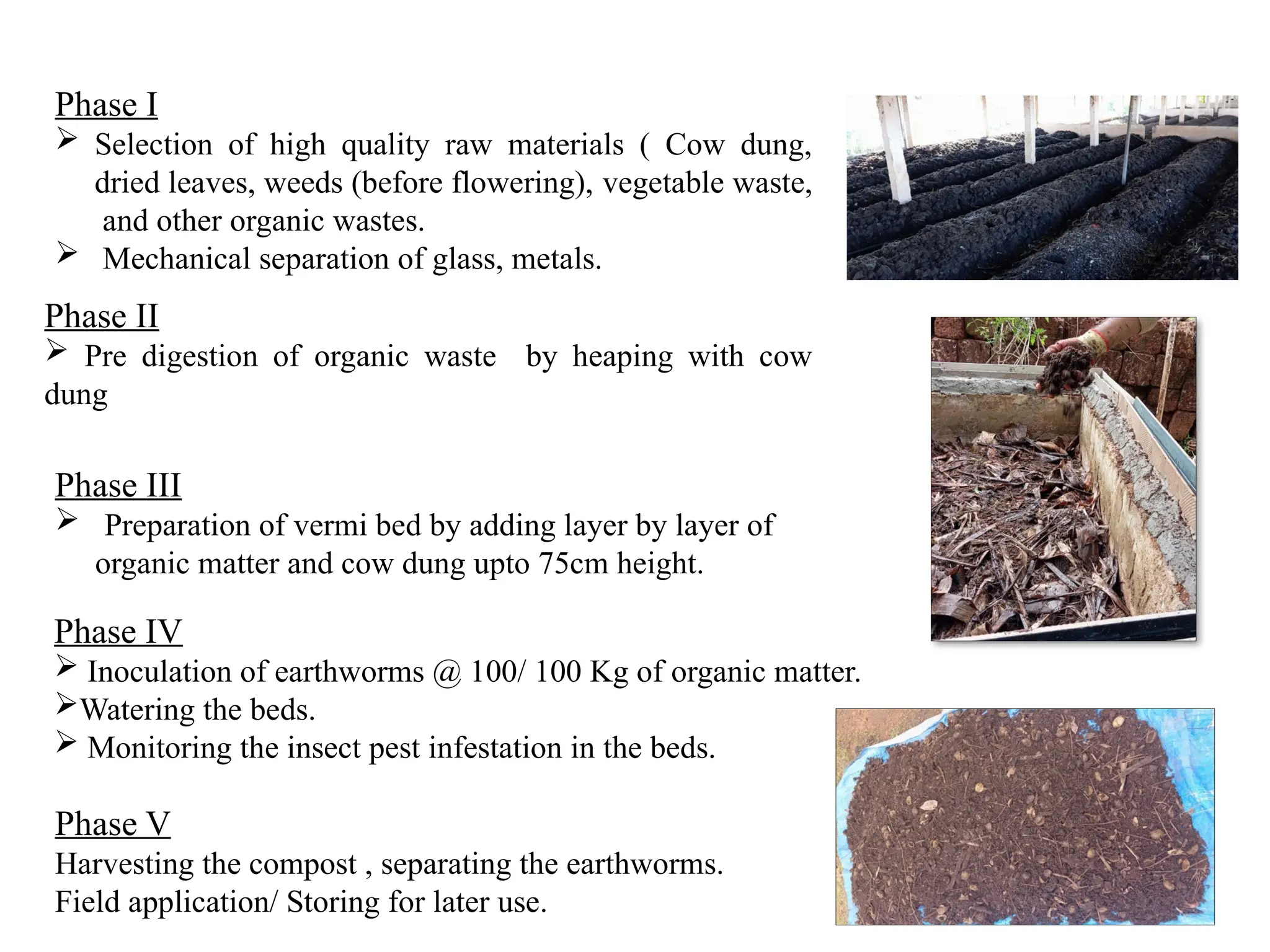 VERMICOMPOSTING A STEP TOWARDS SUSTAINABILITY.pptx