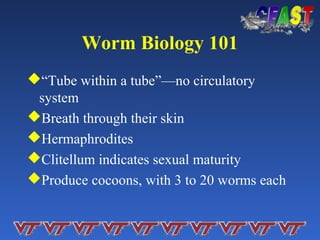 Vermicompostingclassroom | PPT | Geology | Science