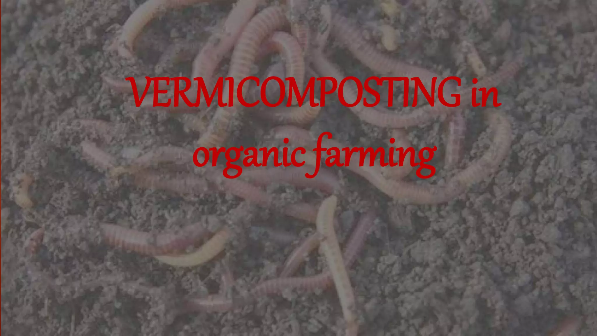 Vermicomposting | PPTX