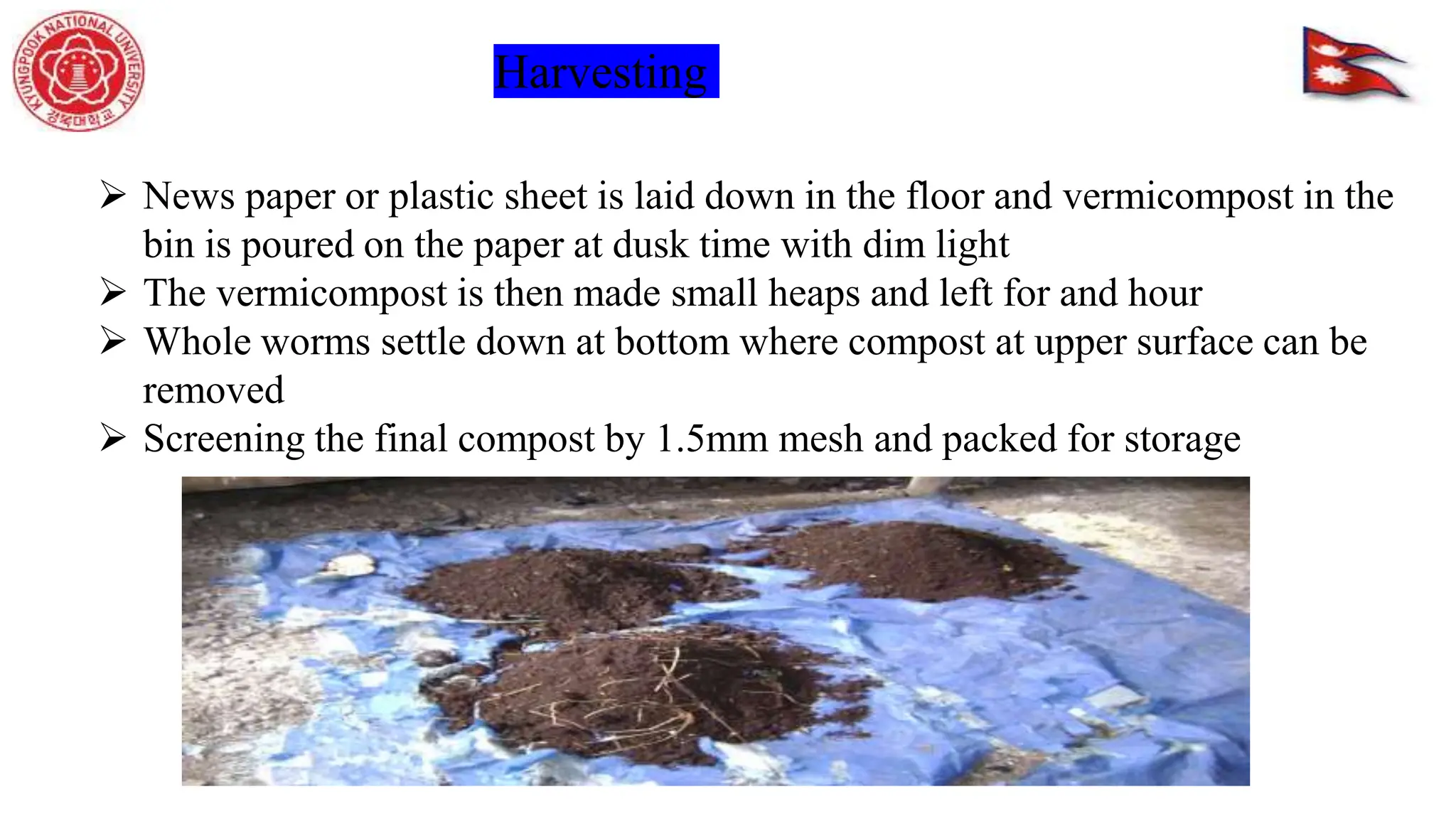 Vermicomposting In Nepal.pptx