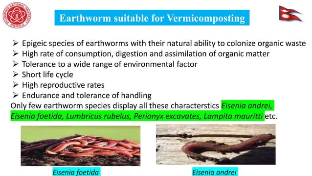 Vermicomposting In Nepal.pptx