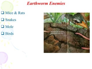 Vermicomposting KCA.pdf
