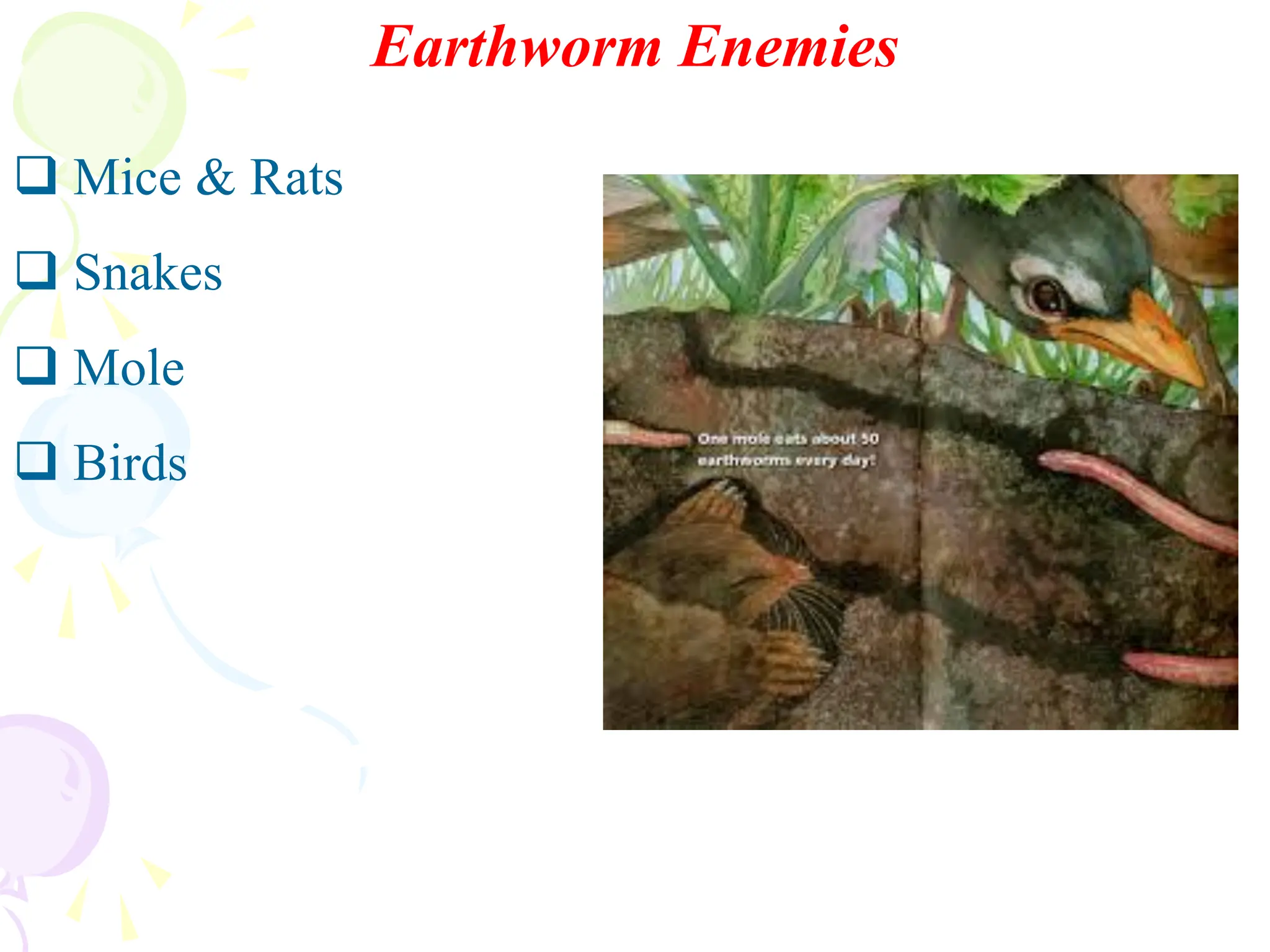 Vermicomposting KCA.pdf