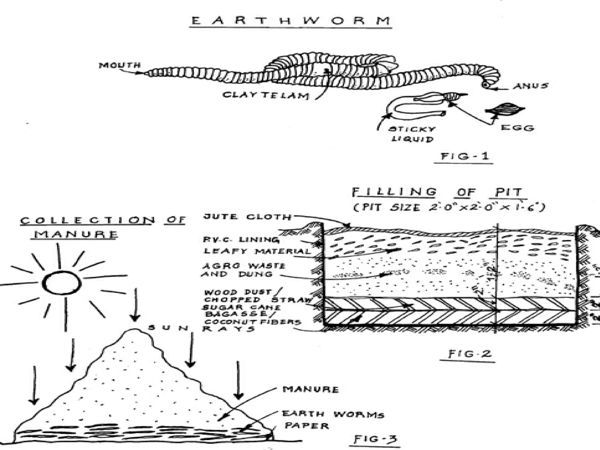 Vermicomposting KCA.pdf