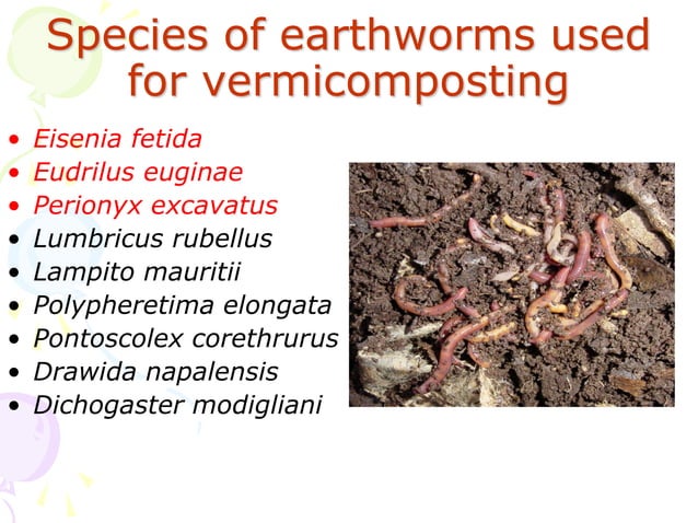 Vermicomposting KCA.pdf