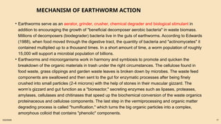 Comprehensive Guide to the Basic Process of Vermicomposting and ...