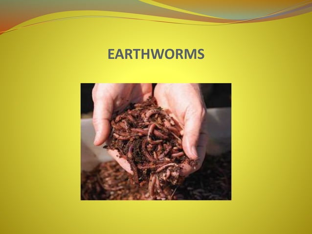 Vermicomposting of wood wastes ppt | PPTX