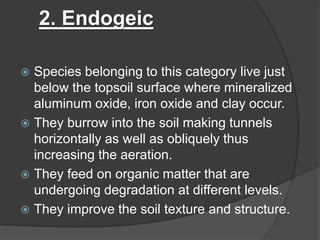 VERMICOMPOSTING pptx..pptx
