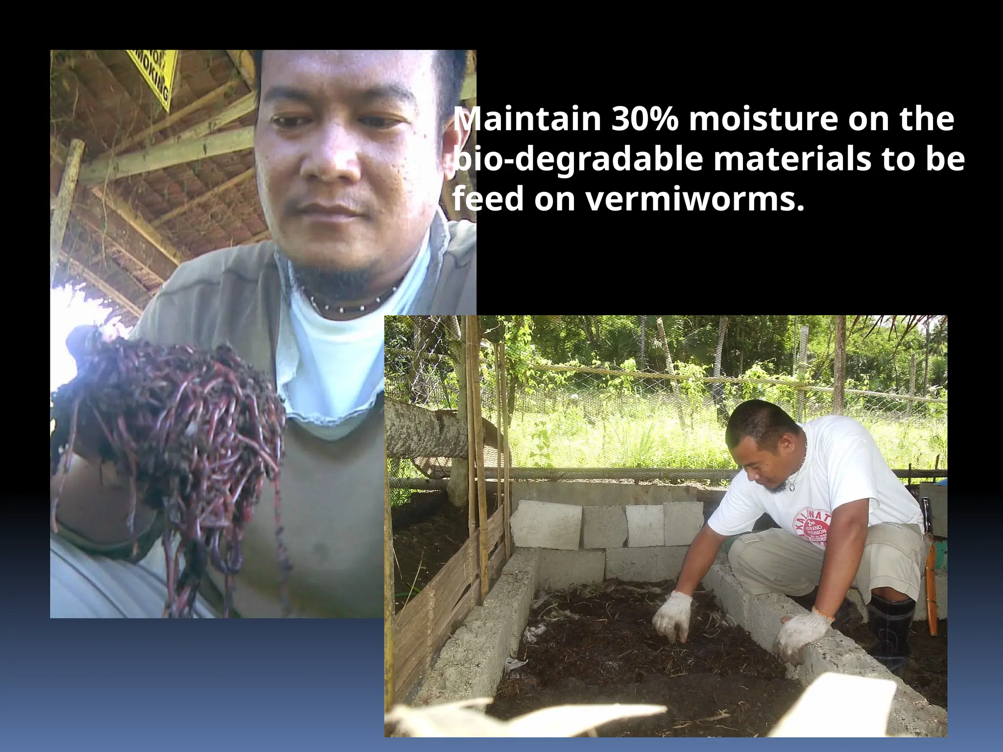 VERMICOMPOST PRODUCTION Practice by smallholder farmers.pptx
