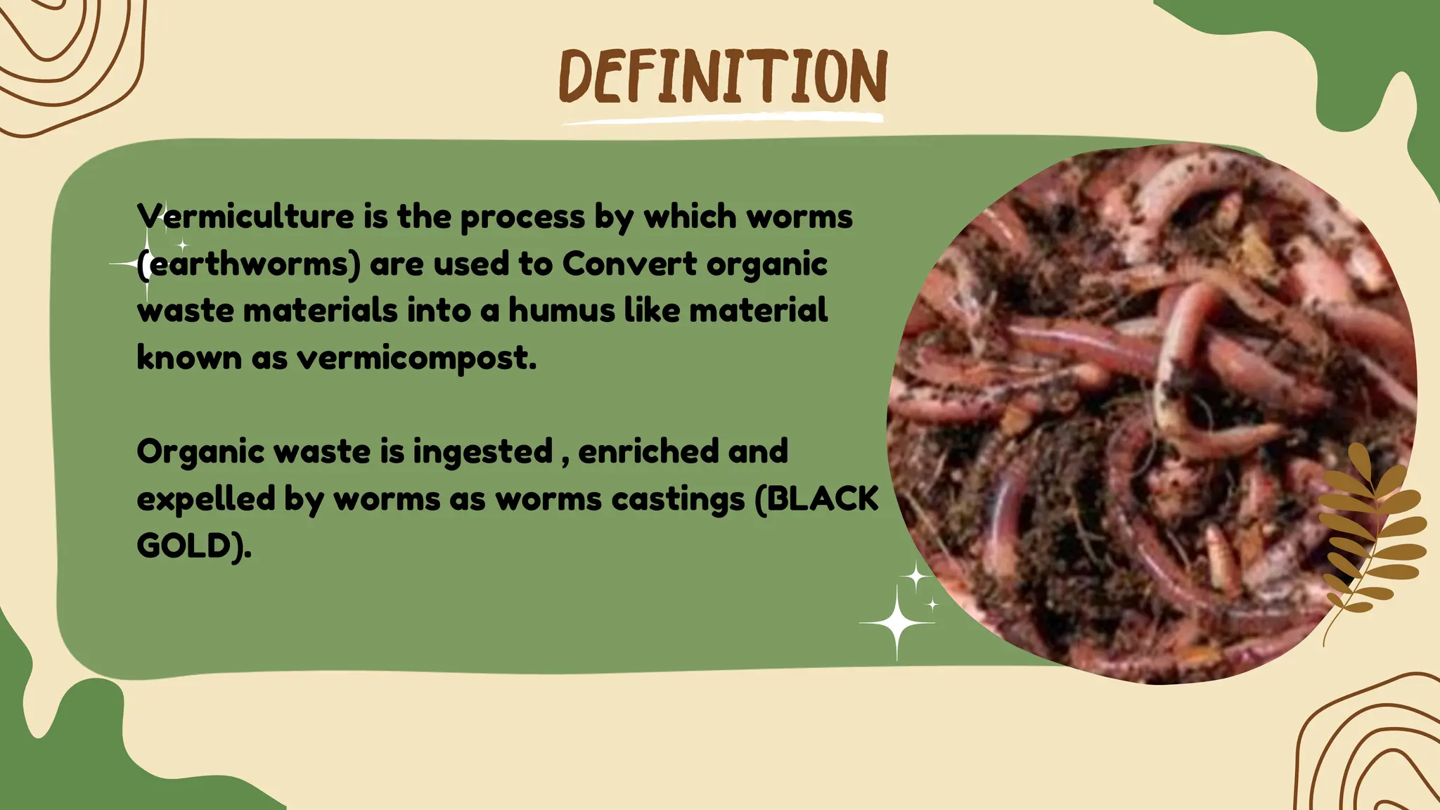 VERMICULTURE - Definition,History,Classification,Economic importance | PDF